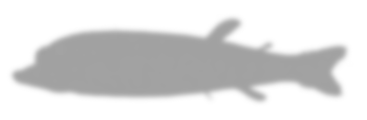 Finspan Card Search